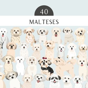 Maltese Clip Art - Dog Breed Editable Vector Pack - White Maltese ...