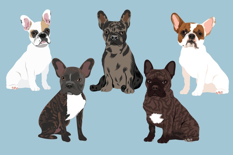 French Bulldog Clip Art - Dog Breed Editable Vector Pack - French ...