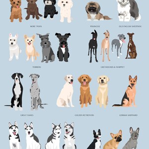 Dog Clipart Bundle With 140 Dogs - Dog Breed Illustrations - Over 60 ...