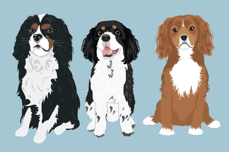 King Charles Cavalier Spaniel Clip Art - Spaniel SVG Dogs - Spaniel PNG ...