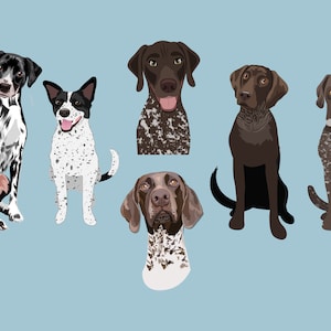 Pointers Clip Art Clip Art - Dog Breed Editable Vector Pack - Pointer Hunting Dog Vector Art ...