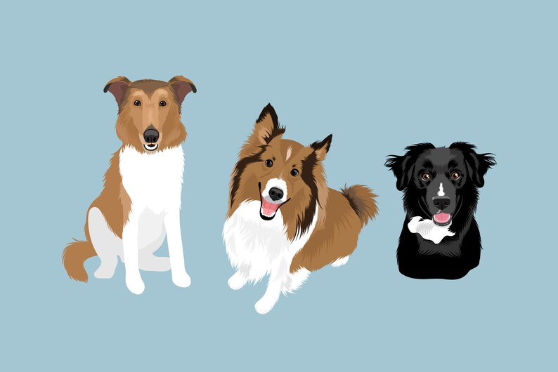 Collie Clip Art Sheltie Clip Art Dog Breed Editable Vector Pack Border ...