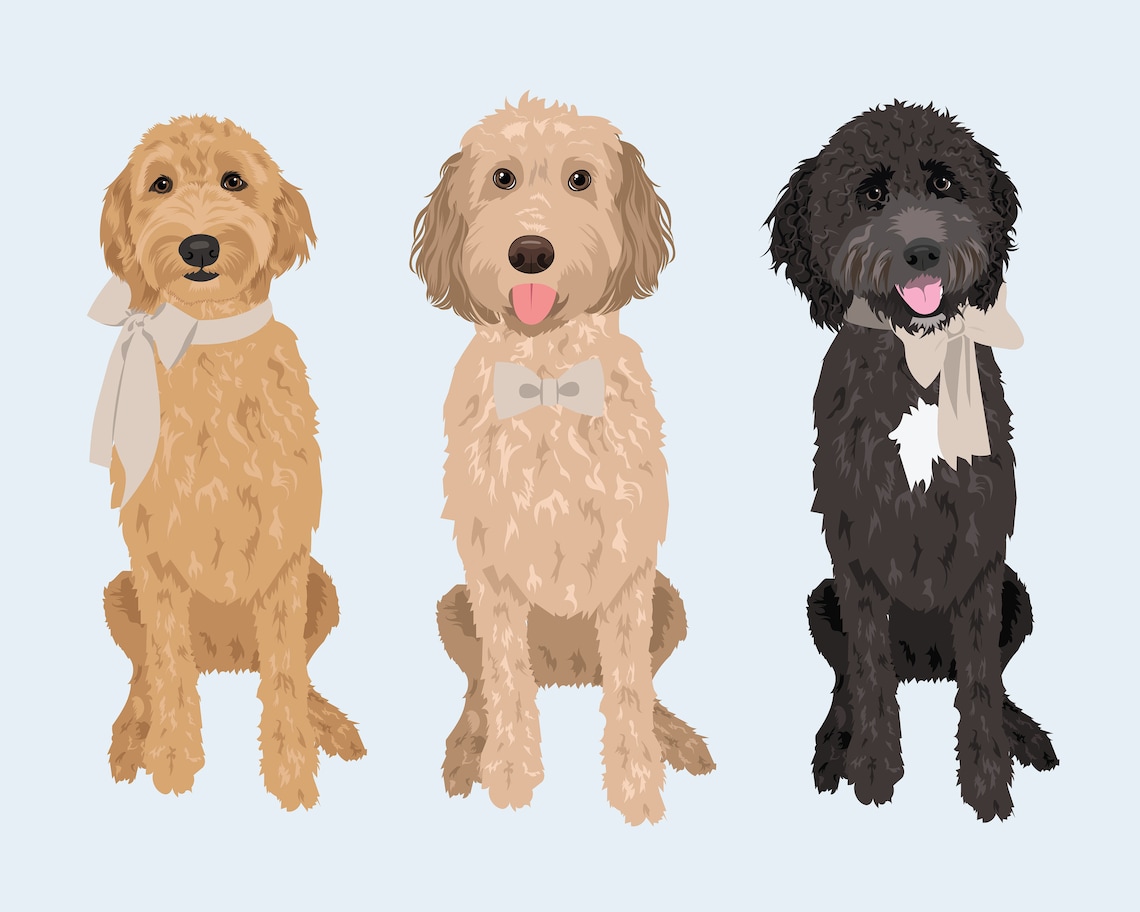 Labradoodle Clip Art Dog Breed Illustration Pack - Etsy