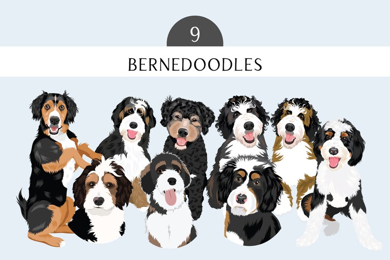 Bernedoodle Clip Art - Dog Breed Editable Vector Pack - Bernese ...