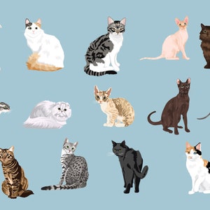 Cats PNG Bundle - Cat Breed Clip Art Bundle With 26 Detailed Cat ...