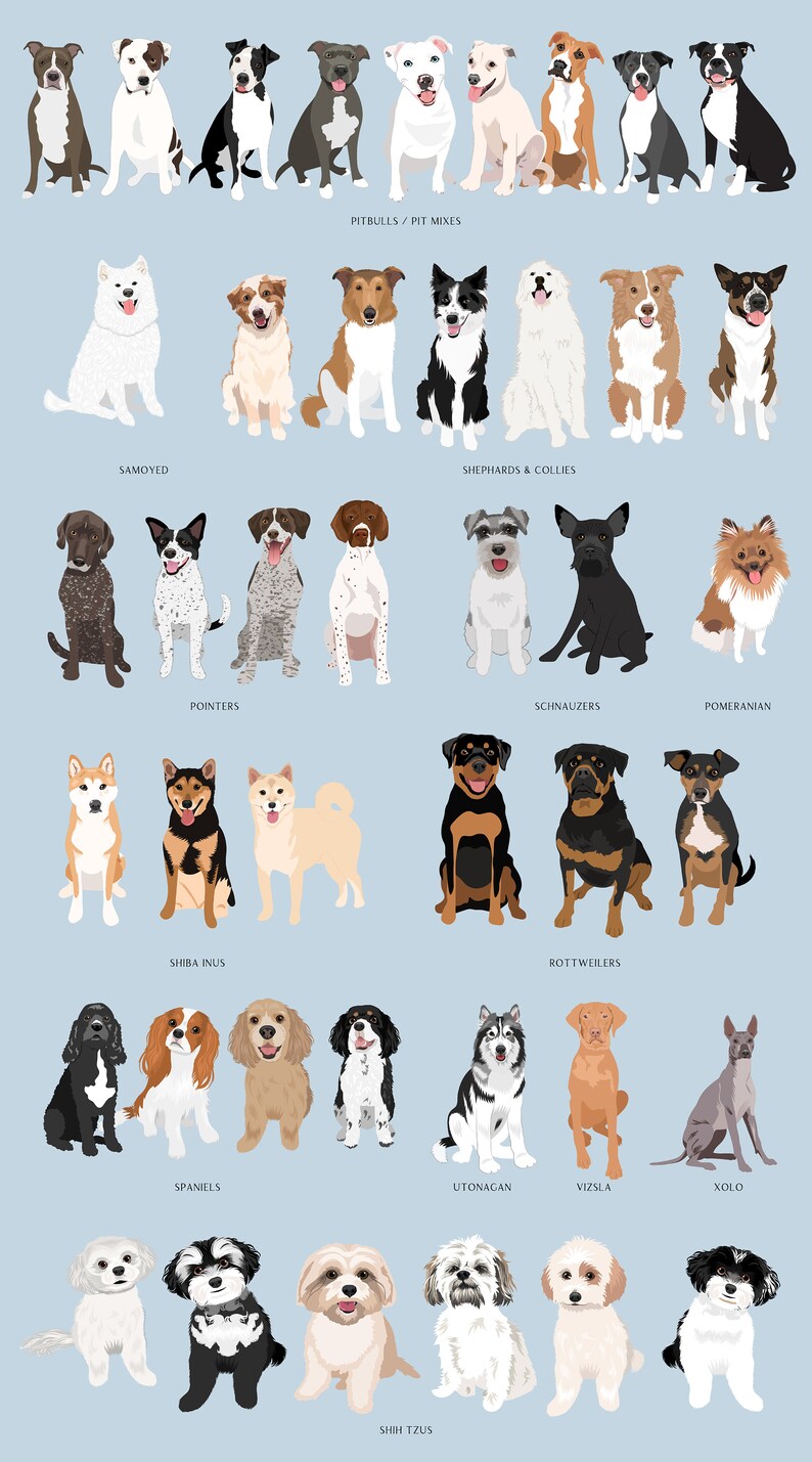 Dog Clipart Bundle With 140 Dogs Dog Breed Illustrations | Etsy