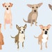 Chihuahua Clip Art - Dog Breed Editable Vector Pack - Chihuahua ...