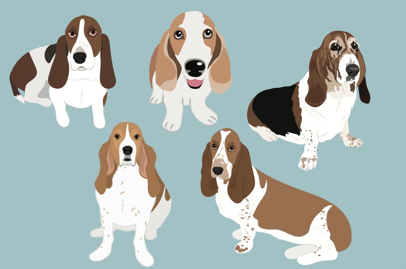Bassett Hounds Dog Clip Art EPS PNG SVG Bassett Hounds Dog Breed Dogs ...