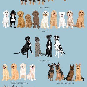 Dog Clipart Bundle With 140 Dogs - VOLUME 2 - Dog Breed Illustrations ...