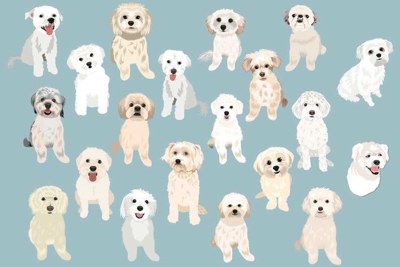 Maltese Clip Art - Dog Breed Editable Vector Pack - White Maltese ...