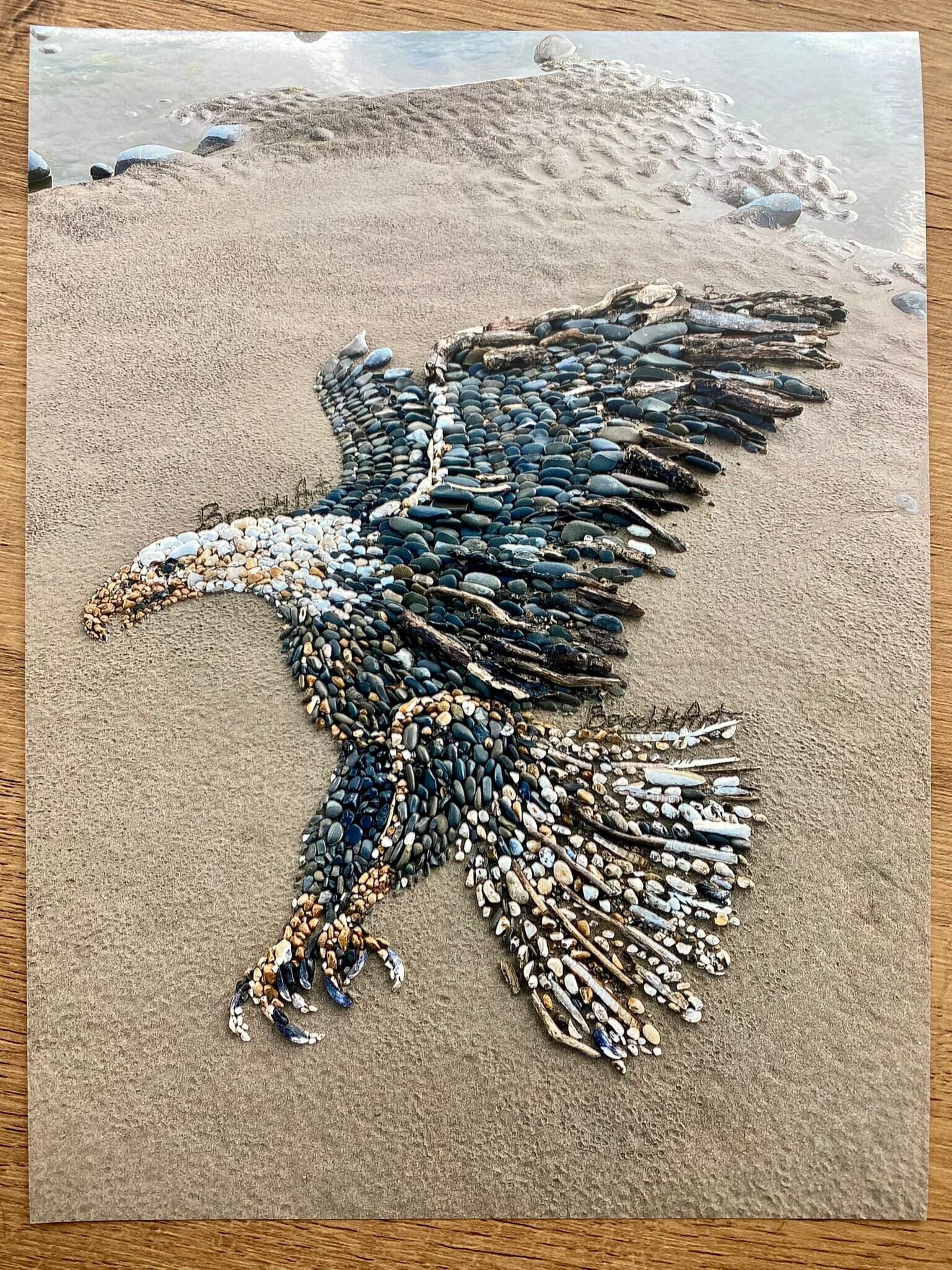 The Bald Eagle - Etsy