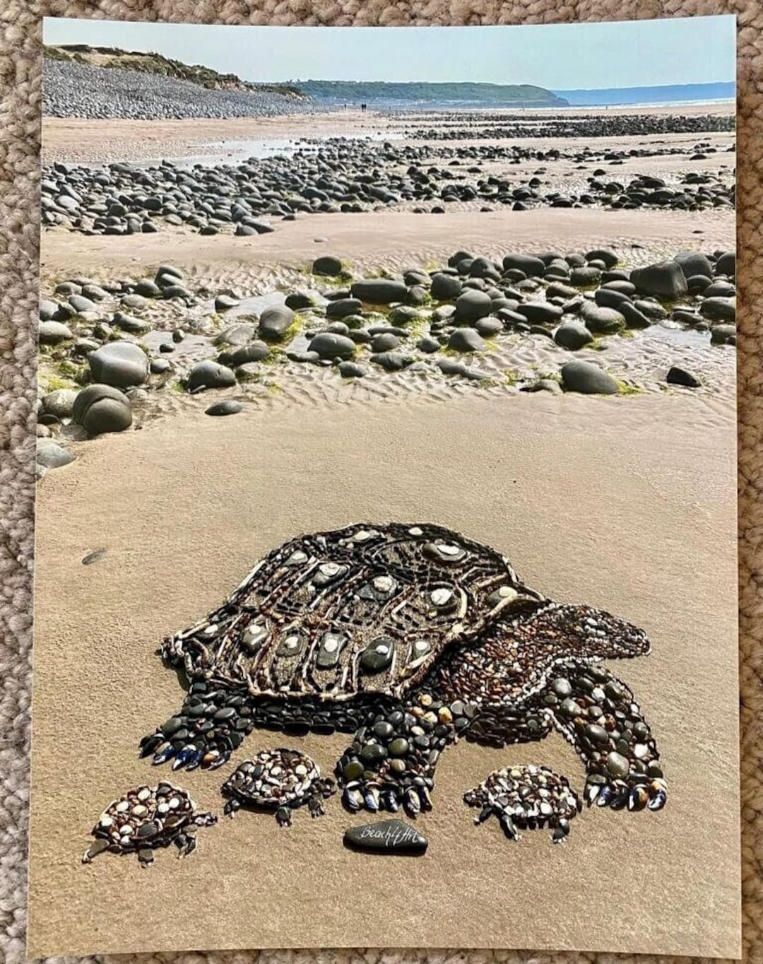 Pebble Tortoises Beach Art Print, Devon UK, Limited Edition - Etsy