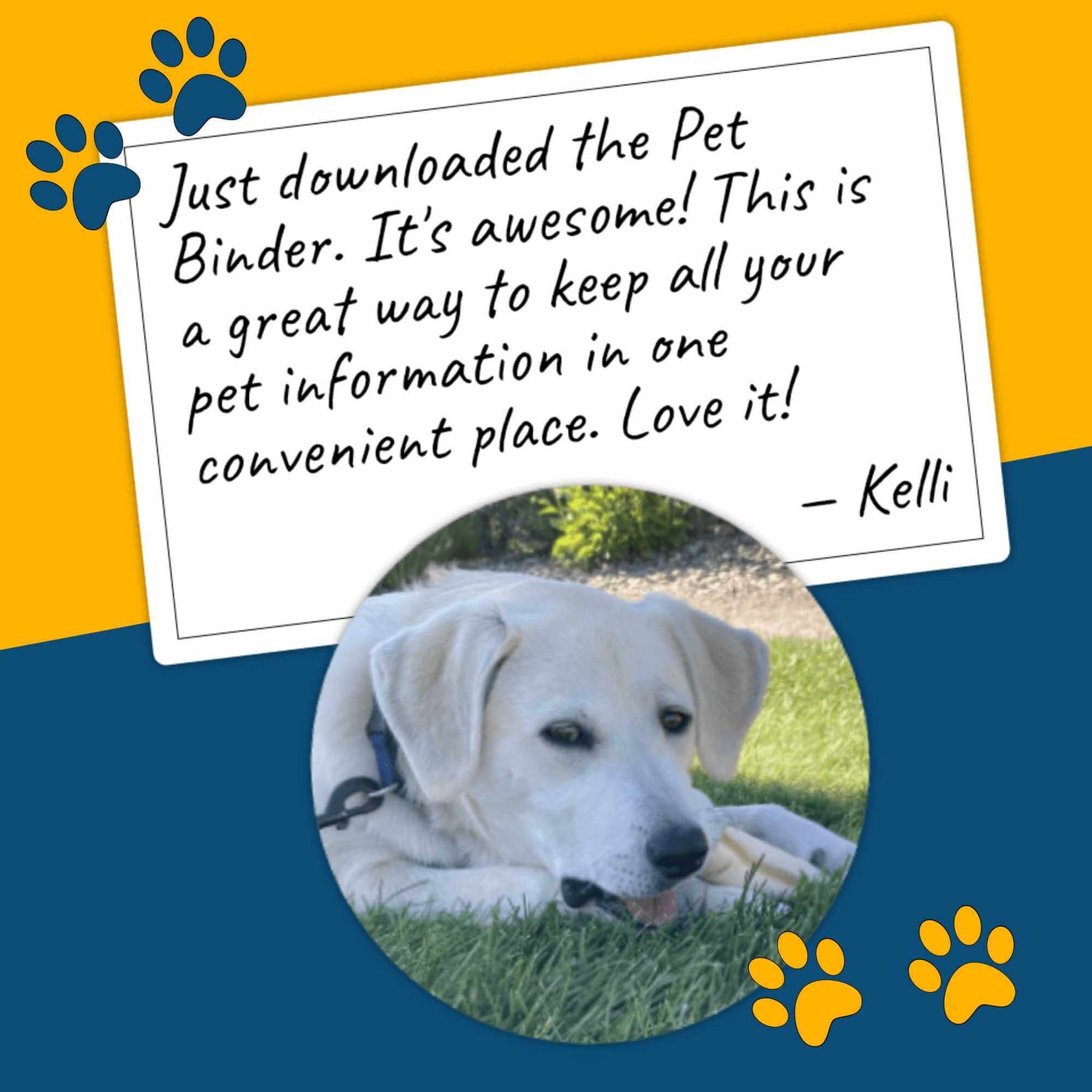 Printable Pet Binder Ultimate Pet Binder Pet Health Sheets Pet Records ...