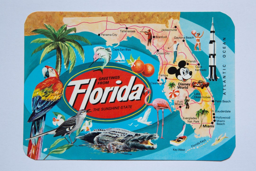Greetings From Florida the Sunshine State Vintage Postcard Blank - Etsy