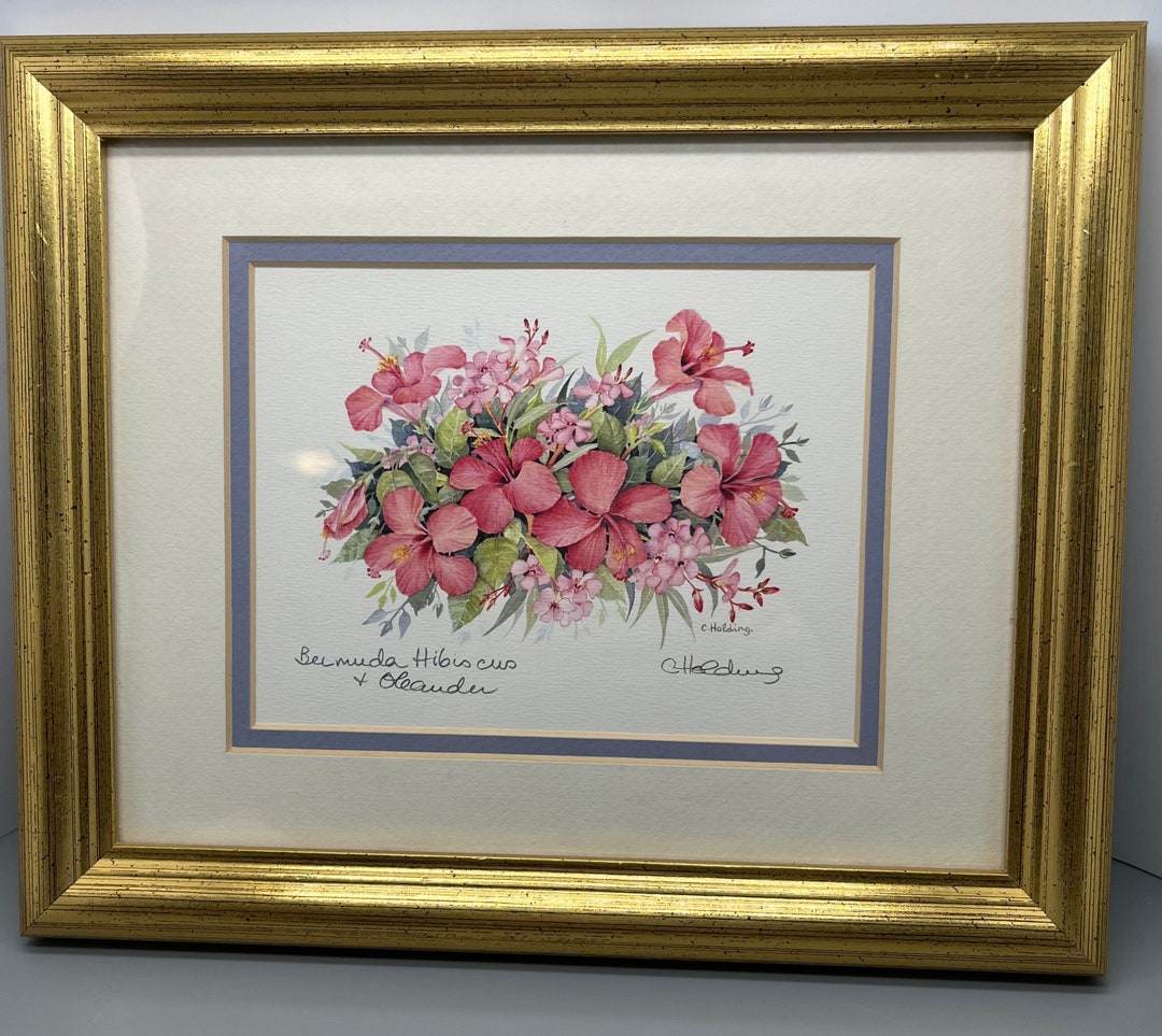 Bermuda Hibiscus and Orleander Watercolor by Artist Carole Holding ...