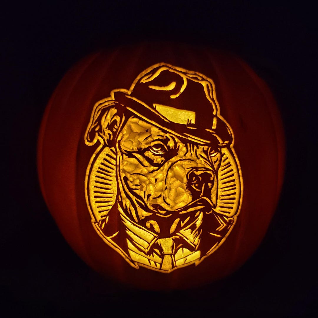 Carved 9" Foam Pumpkin, Gangster Pitbull Dog, Halloween Dog, Halloween ...