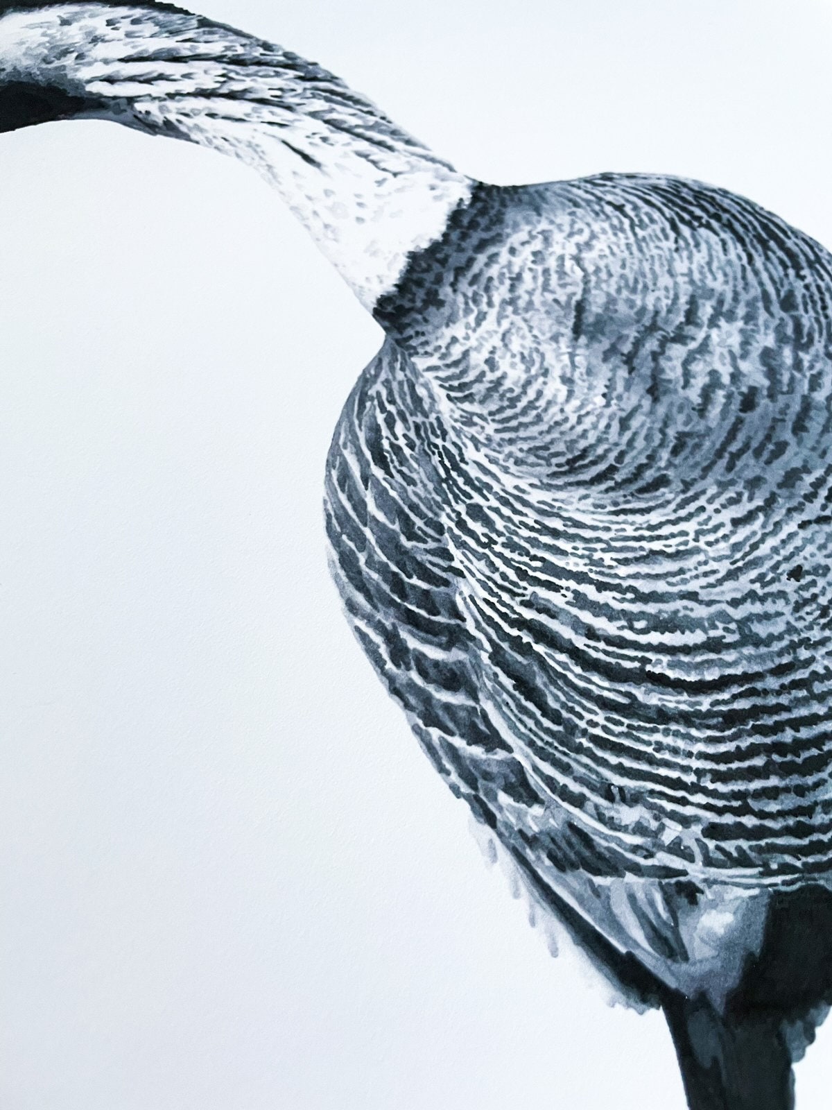 Nene, Hawaiian Goose, Bird Art Wall Art Giclee, 11x14” and 18x24” - Etsy