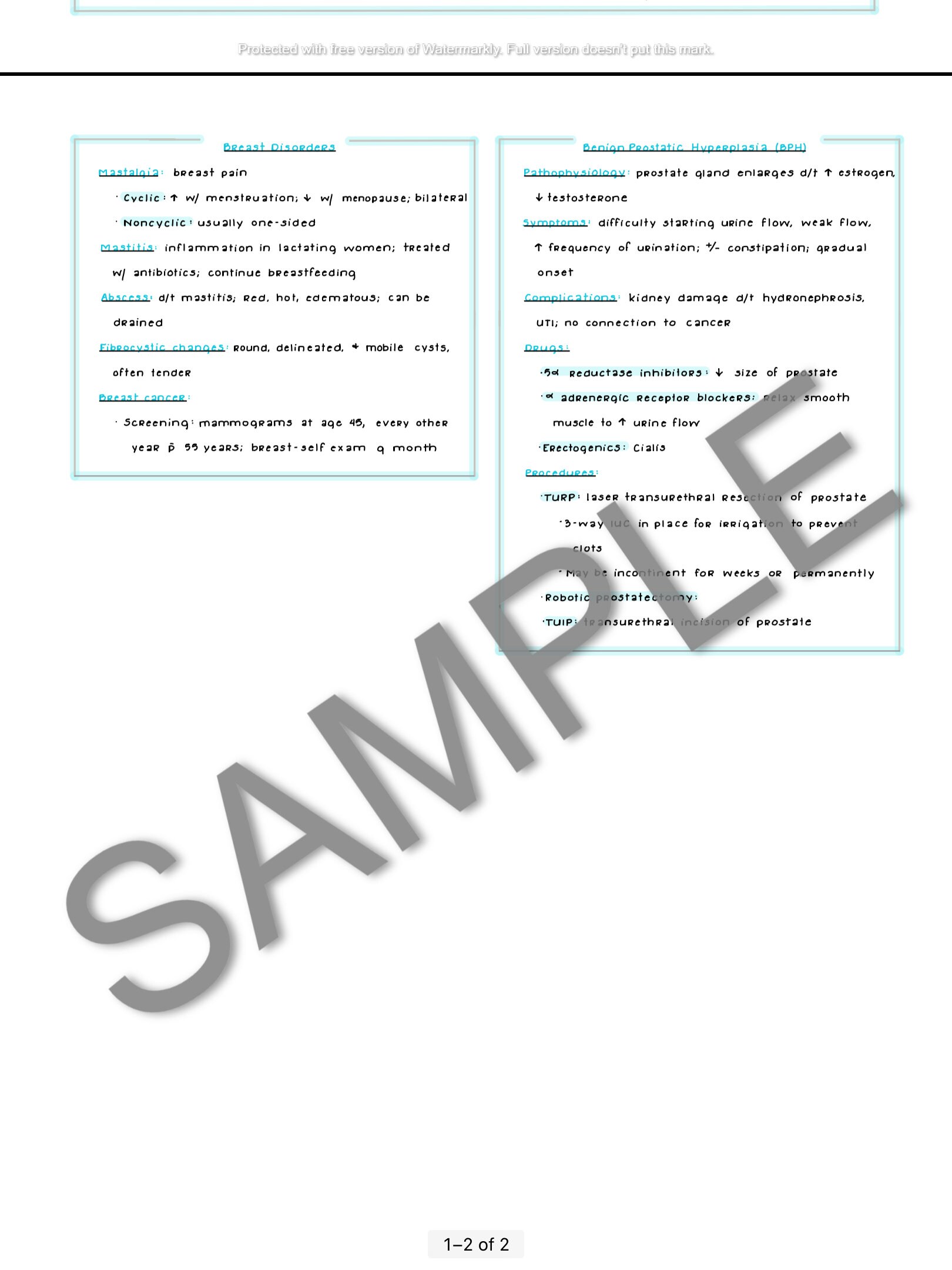 Reproductive System and Stds notes for Nursing Students - Etsy