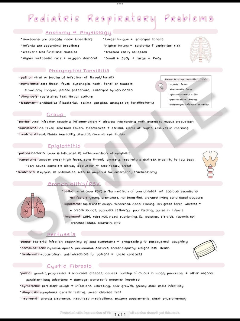 Pediatric Respiratory Problems digital Notes for Nursing Students - Etsy
