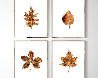 Fall Leaves Printable Wall Art - Etsy