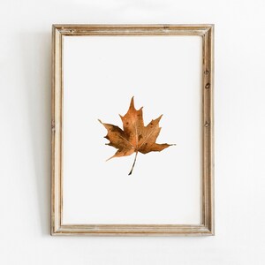 Fall Leaves Printable/watercolor Fall Leaf/fall Wall Art Set of 6 ...