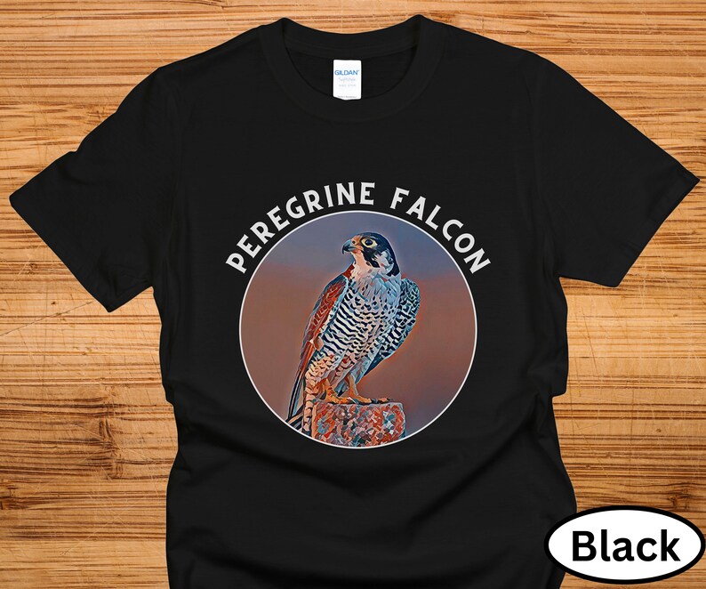 Peregrine Falcon Shirt Falcon Tshirt Birdwatching T-shirts - Etsy