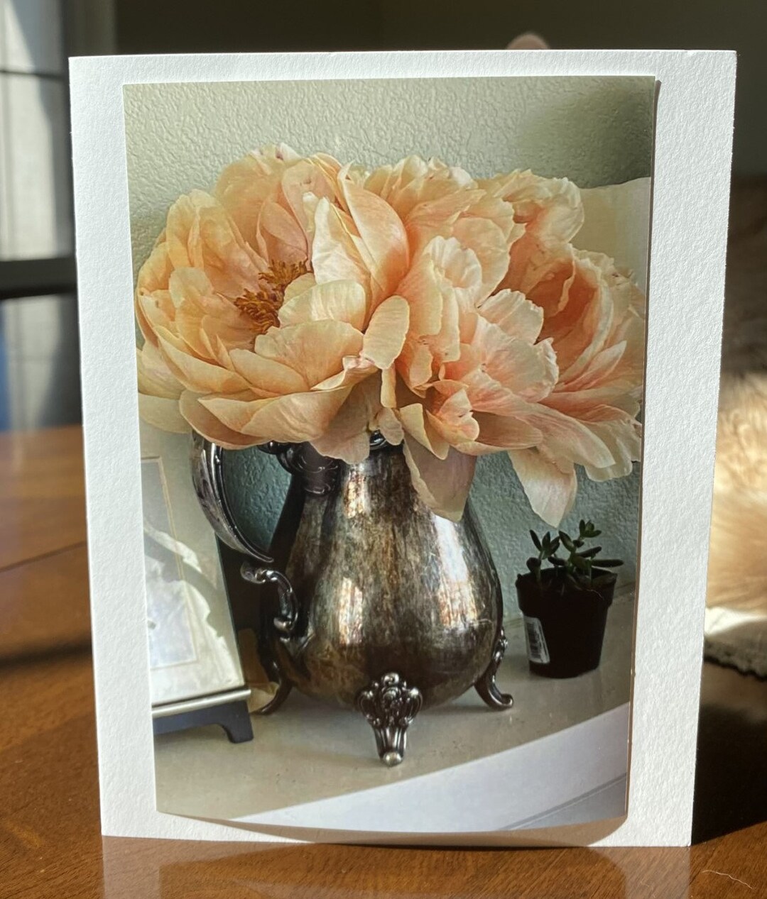 5 Photo Card Pack or Sold Separately for 5 Ea. - Etsy