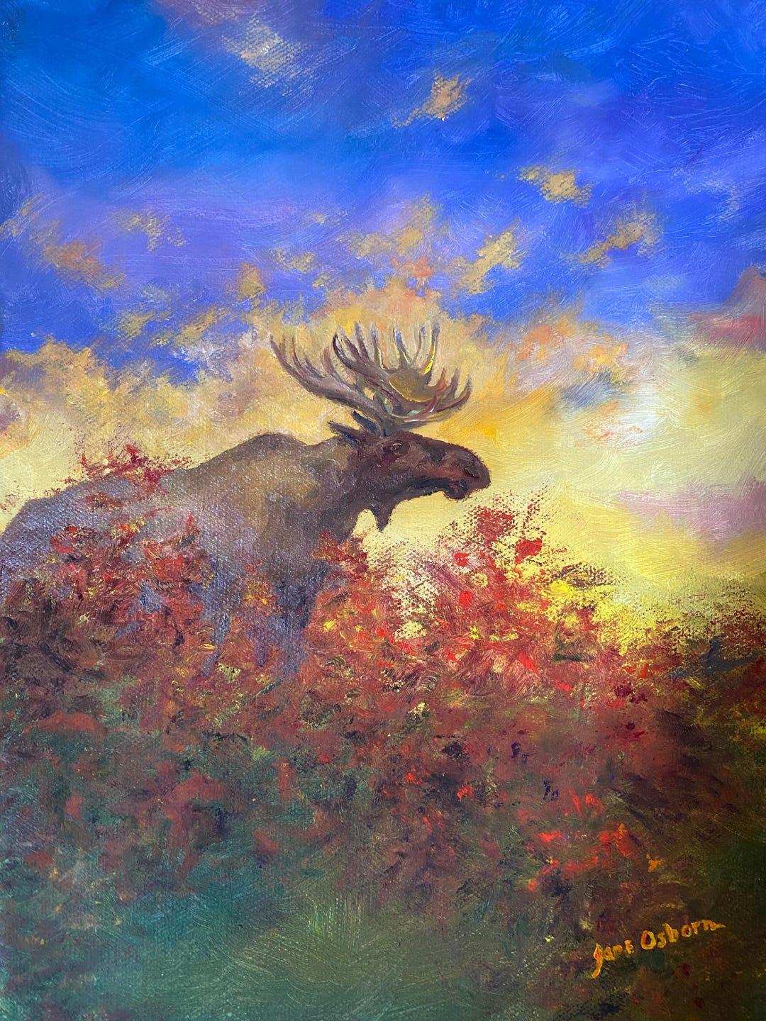 Moose Oil Painting Original 9 X12" on Canvas Ready to Hang by Wyoming ...