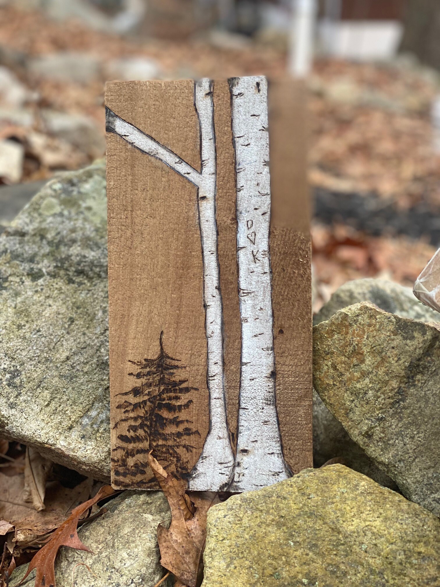 Custom White Birch Trees Hand Wood Burned Art. - Etsy