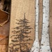 Custom White Birch Trees Hand Wood Burned Art. - Etsy