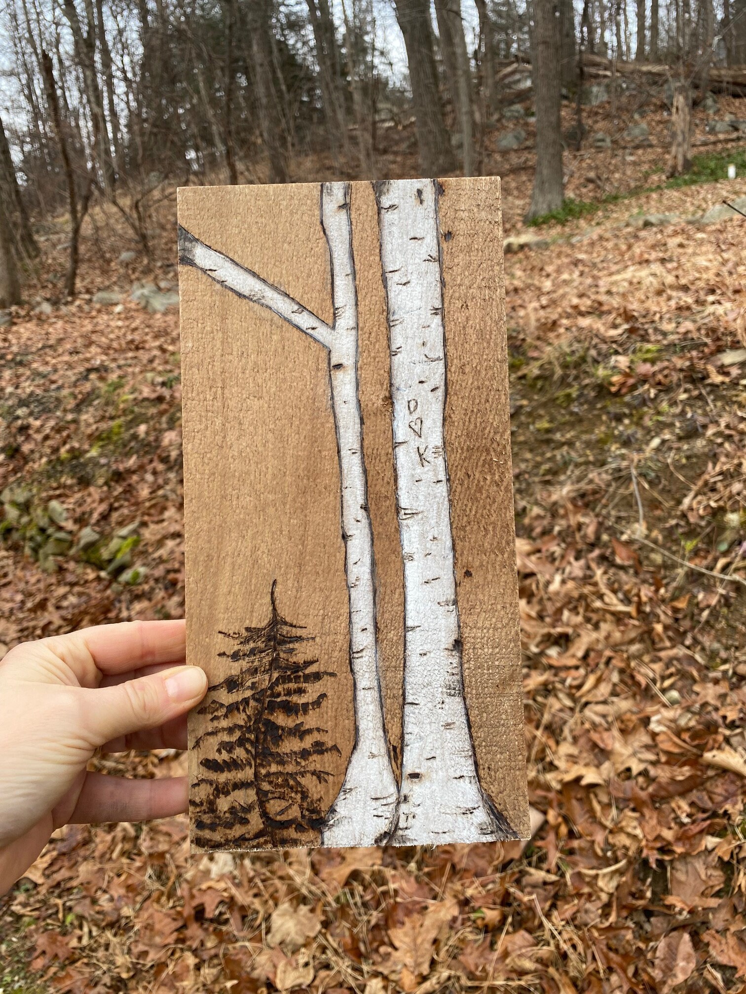 Custom White Birch Trees Hand Wood Burned Art. - Etsy