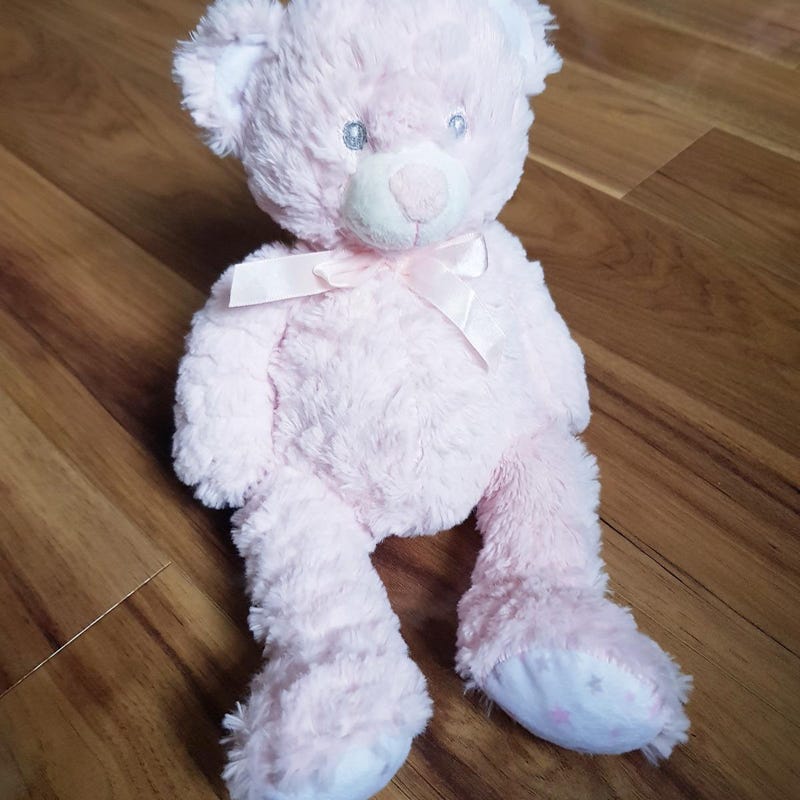 Pastel Teddy Bear - Etsy