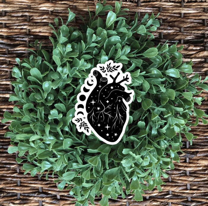 Anatomical Heart Print and Cut File Heart Sticker Anatomical - Etsy