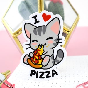 pizza making cat