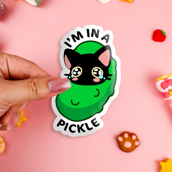 Pickle Car Stickers - Etsy