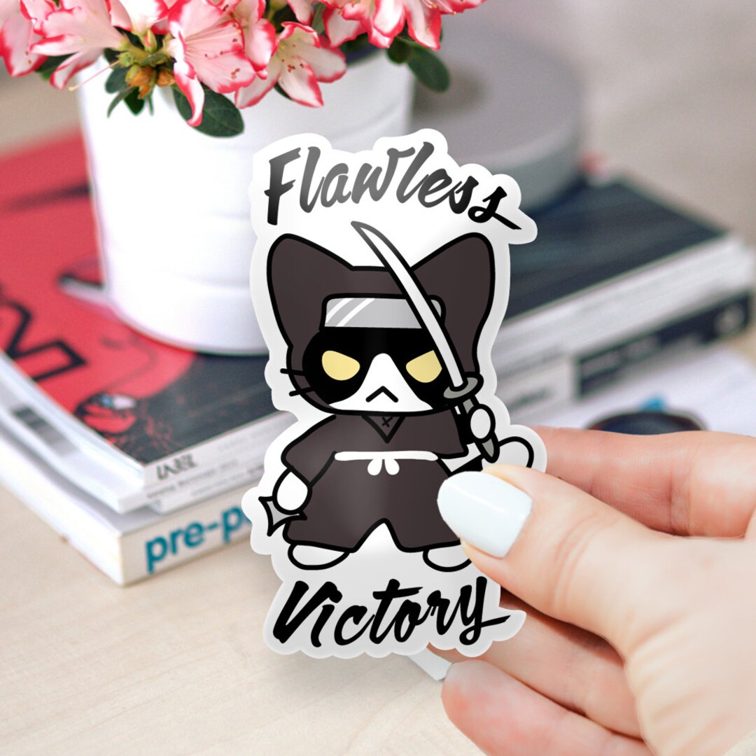 Ninja Cat Glossy Vinyl Sticker Water Bottle Sticker Car - Etsy