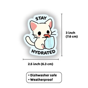 Stay Hydrated Matte Vinyl Sticker, Water Bottle Sticker, Car Decal ...