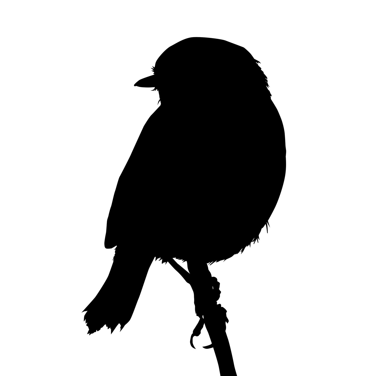Robin Bird Silhouette SVG Vector Artwork Download - Etsy