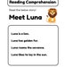 Reading Comprehension Worksheets Bundle | Kindergarten | Homeschool ...