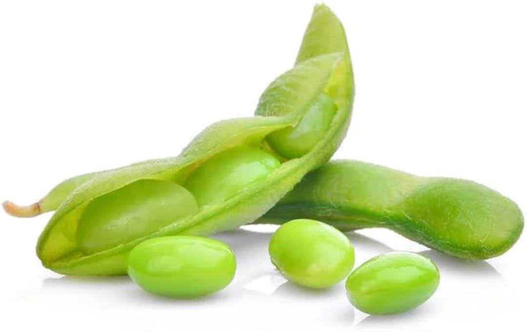 Besweet Edamame Soy Bean Seeds | USA Asian Vegetable Vegetable Non-gmo ...