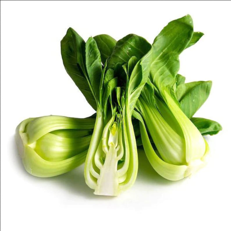 Shanghai Bok Choy Seeds | Green Stem Pak Choi Cabbage - Etsy
