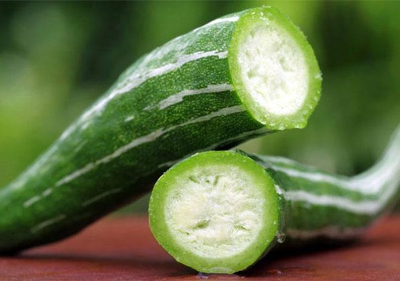 Snake Gourd Seeds (lặc Lày) – Heirloom Japanese Luffa, Edible Loofah ...