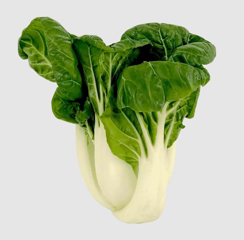 Dwarf White Pak Choy Seeds | Baby Bok Choy | Heirloom Non-gmo ...
