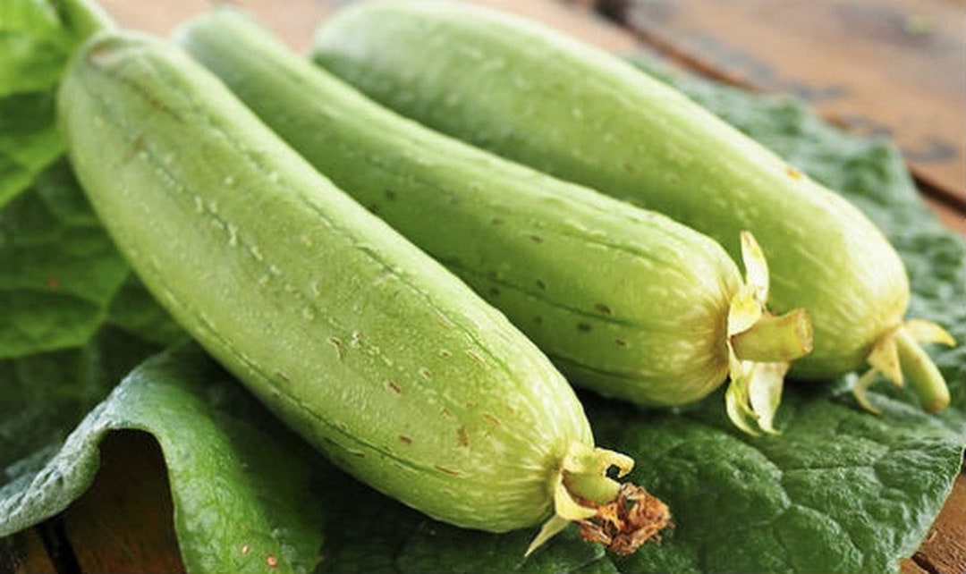 Vietnam Smooth Luffa Gourd Seeds; 特長絲瓜; Muop Huong; F1 Non-gmo,organic ...