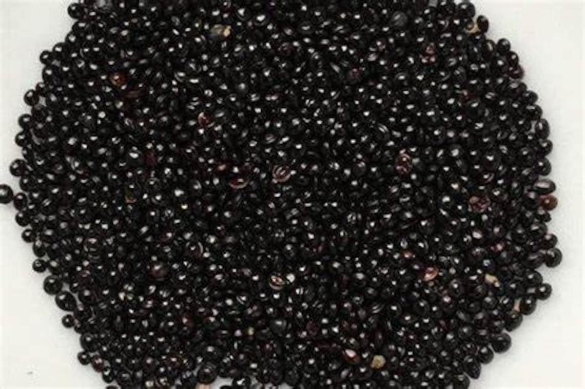 Red Stripe Leaf Amaranth Seeds 紅莧菜 Rau Den Red Callaloo / - Etsy