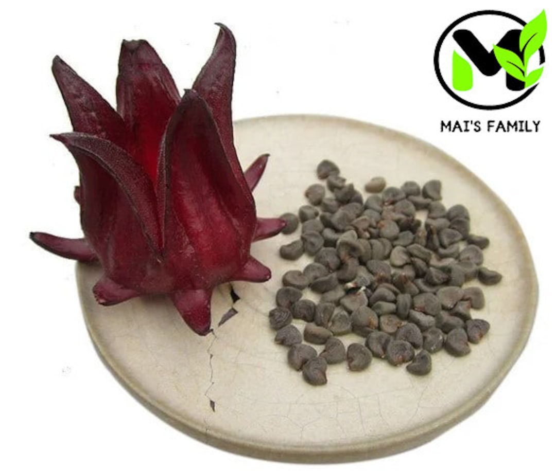 Roselle Seeds, Hoa Bụt Giấm, Asian Sour Leaf Red Sorrell Florida Cranberry (hibiscus Sabdariffa ...