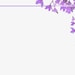 Printable Pretty Lavender Purple Floral Page Border Designs A4 PNG PDF ...