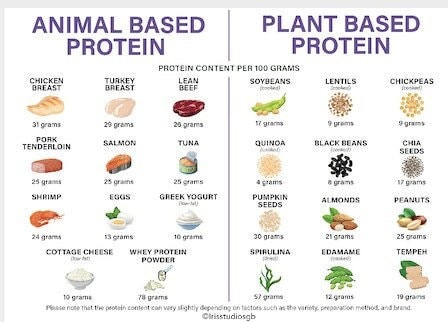 Plant Based Protein Vs Animal Based Protein Chart | High Protein Meal ...