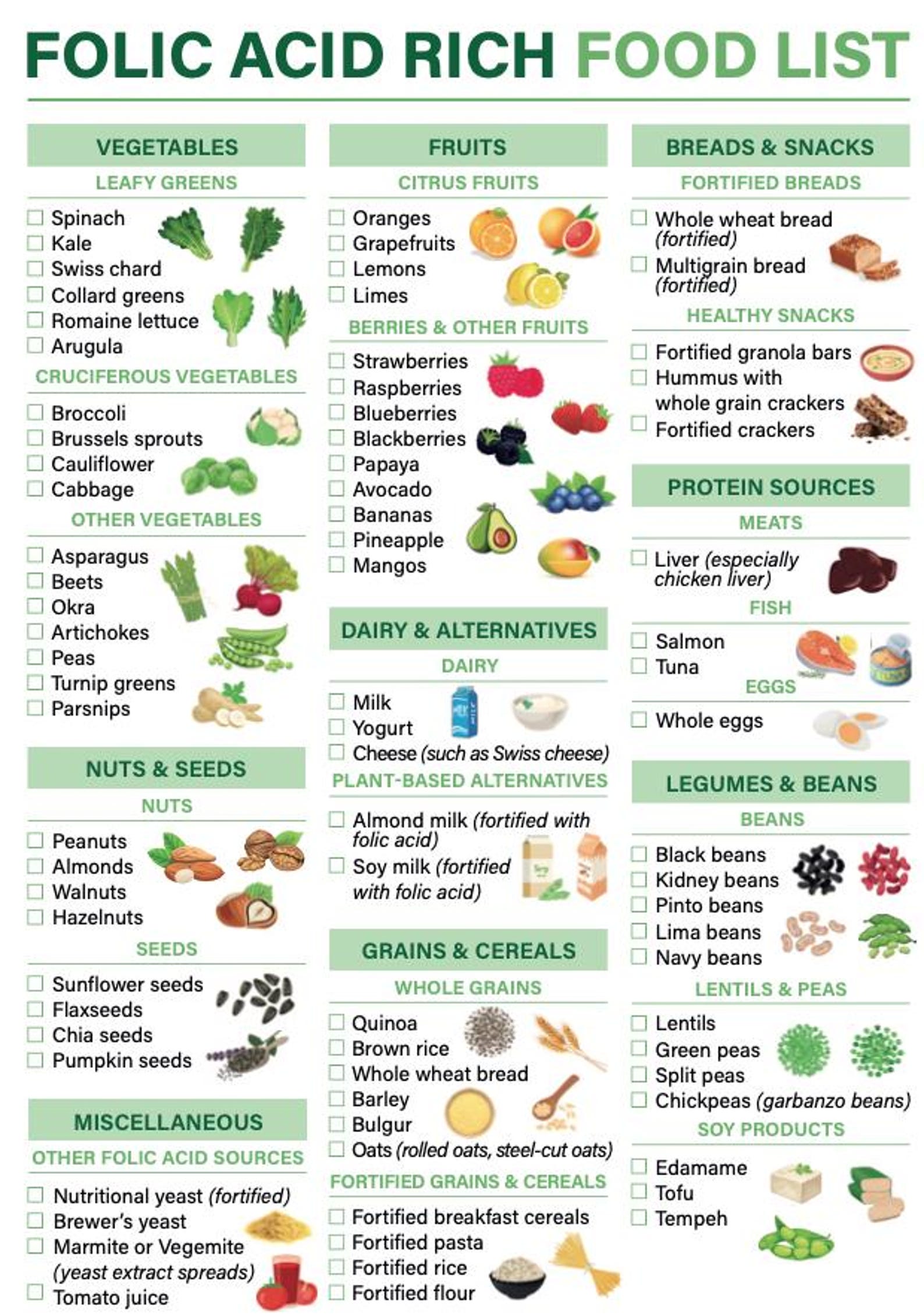 Folic Acid Rich Foods | Folic Acid Rich Foods List | A4 Size | Instant ...