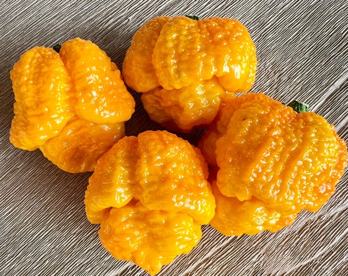 Yellow Brain Strain/yellow 7 Pot Pepper Seeds | Superhot | Organic ...